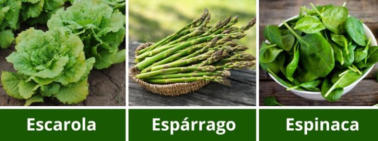 Frutas o Verduras con la letra E: Listado completo en 2026