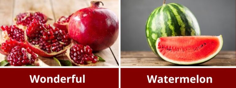 Frutas o Verduras con la letra W: Listado completo en 2025