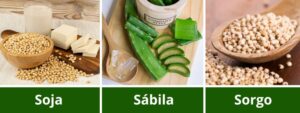 Frutas o Verduras con la letra S: Listado completo en 2026