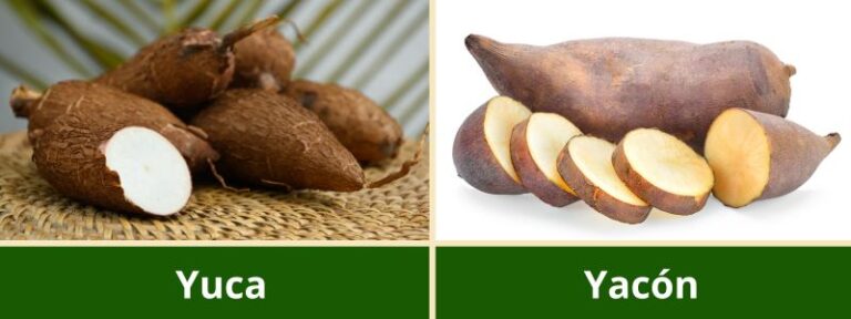 Frutas o Verduras con la letra Y: Listado completo en 2025